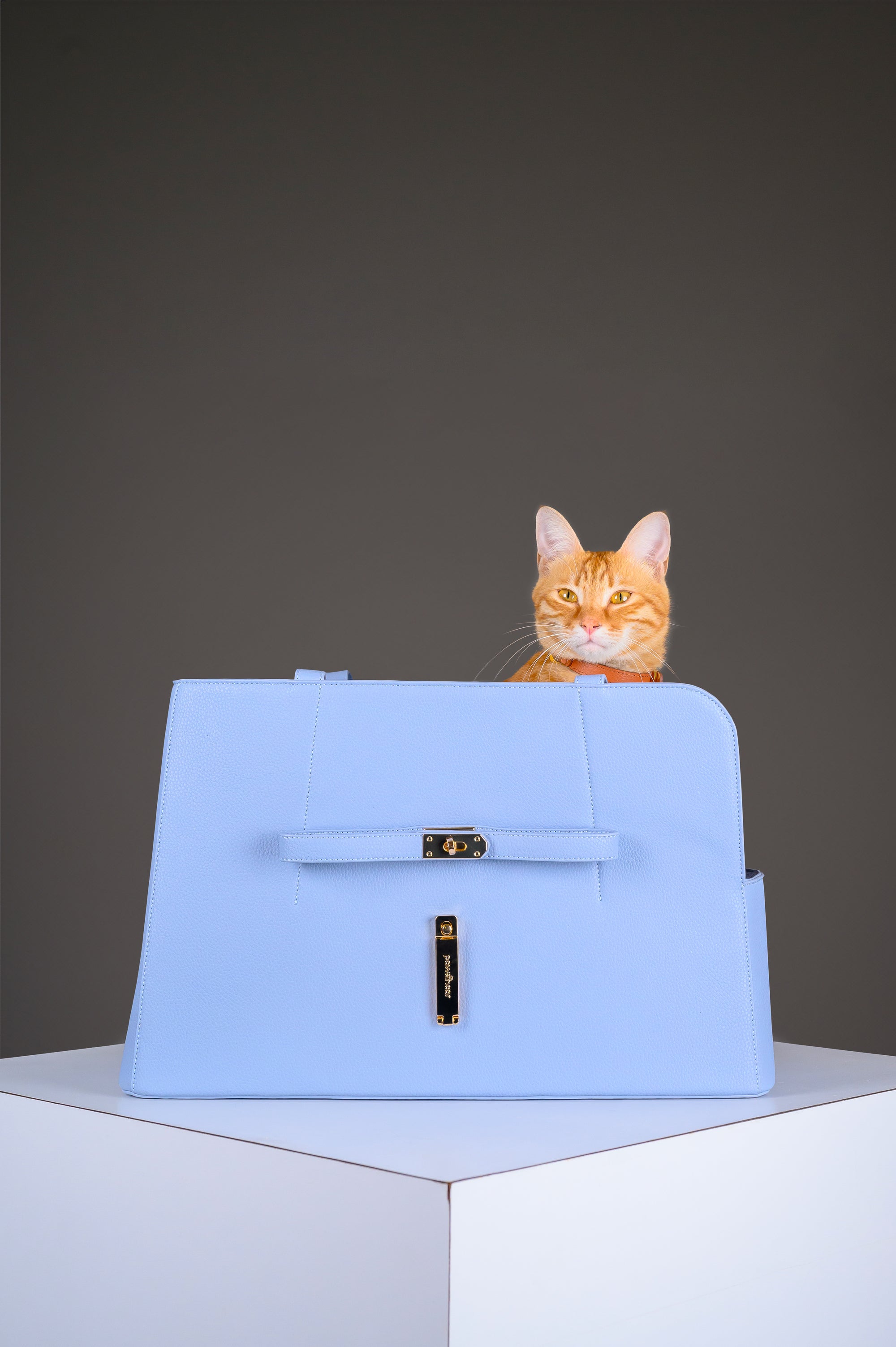 Pawsincar Vegan Leather Pet Carrier, Crash-tested in USA, Dogs & Cats ...